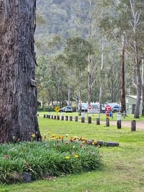 Goomburra Valley Campground, Queensland Country, Queensland, Australia ...