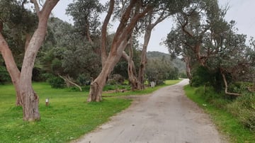 Walkerville Foreshore Camping Reserve, Gippsland, Victoria, Australia ...