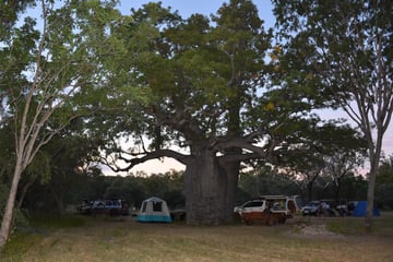 Mt Barnett Station Roadhouse, Australia's North West, Western Australia ...
