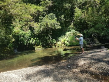 Clements Road End Campsite, Taupo, Waikato, New Zealand | CamperMate ...