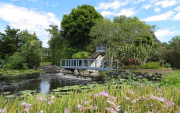 Ngatea Water Gardens, Coromandel, Waikato, New Zealand | CamperMate ...