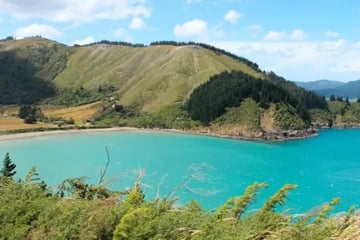 Robin Hood Bay Campsite, Marlborough, Marlborough, New Zealand ...