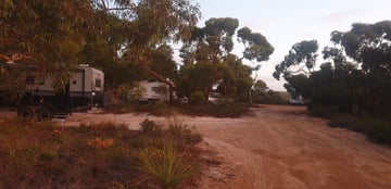 Drummond's Reserve Badgingarra, Australia's Coral Coast, Western ...