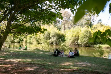 Tawonga Tourist Park, High Country, Victoria, Australia | CamperMate ...