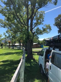 Nimbin Showgrounds, North Coast NSW, New South Wales, Australia ...