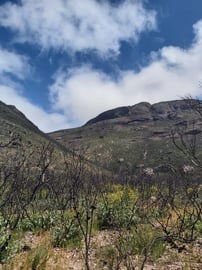 Mount Trio, Australia's South West, Western Australia, Australia ...