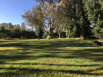 Pigs Point Reserve, High Country, Victoria, Australia | CamperMate ...