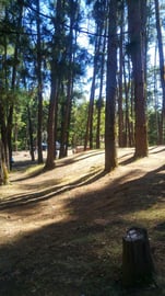 Nanga Mill, Lane Pool Reserve, Destination Perth, Western Australia ...