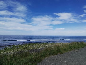 Meat Works Surf Break, Kaikoura, Canterbury, New Zealand | CamperMate ...