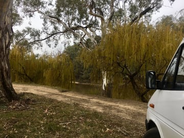 Currawarna State Forest, Riverina, New South Wales, Australia ...