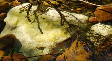 Bendethera Caves Walking Trek, South Coast, New South Wales, Australia ...