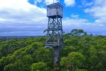 Diamond Tree Lookout Manjimup, Australia's South West, Western ...