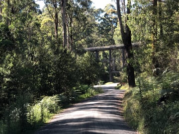 Noojee Trestle Bridge Rail Trail, Gippsland, Victoria, Australia ...