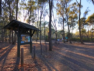 Karri Track Camping Area - Paddys Ranges State Park, Bendigo Loddon ...