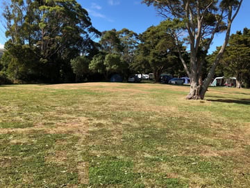 Ashhurst Domain, Manawatu, Manawatu-Whanganui, New Zealand | CamperMate ...