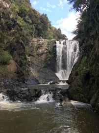 Waipu Gorge Reserve, Northland, Northland, New Zealand | CamperMate ...