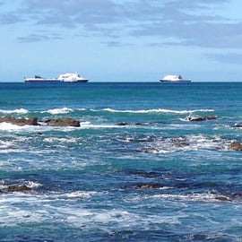 Red Rocks Walkway, Wellington, Wellington, New Zealand | CamperMate ...