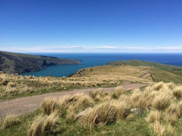 Mount Bossu Lookout, Christchurch, Canterbury, New Zealand | CamperMate ...