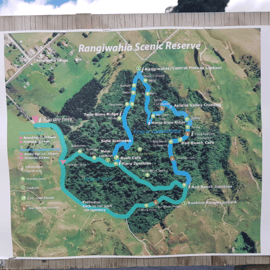 Rangiwahia Scenic Reserve, Manawatu, Manawatu-Whanganui, New Zealand ...