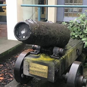 Blenkinsopp's Cannon, Marlborough, Marlborough, New Zealand ...