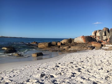 Sloop Reef - Bay of Fires พื้นที่เก็บรักษา, ชายฝั่งตะวันออก, แทสมาเนีย ...