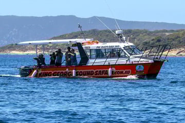 King George Sound Safari, Australia's South West, Western Australia ...