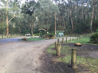 Blackheath Glen Reserve, Blue Mountains, New South Wales, Australia ...