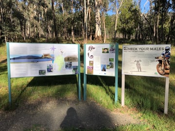 Blue Range Creek Campground, High Country, Victoria, Australia ...
