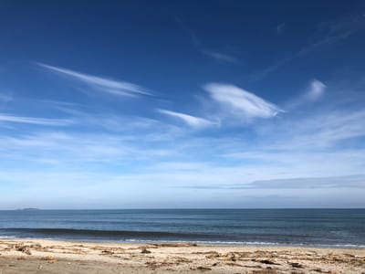 Haast Beach, West Coast, West Coast, New Zealand | CamperMate ...