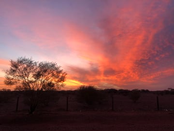 Marla South Rest Area, Flinders Ranges and Outback, South Australia ...
