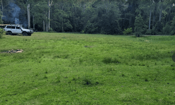 Maxwells Flat Campground, North Coast NSW, New South Wales, Australia | CamperMate - Australia ...