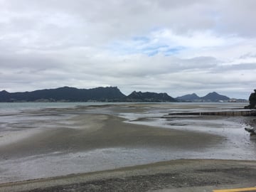 One Tree Point Beach, Northland, Northland, New Zealand | CamperMate ...