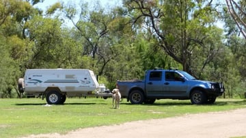 Bowenville Reserve Camp Area, Queensland Country, Queensland, Australia ...
