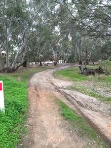 Billabong Creek, The Murray, New South Wales, Australia | CamperMate ...