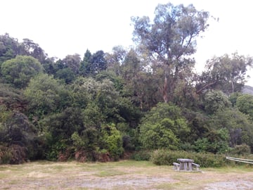 Ithilien Camp LOTR Film Location, Queenstown, Otago, New Zealand ...