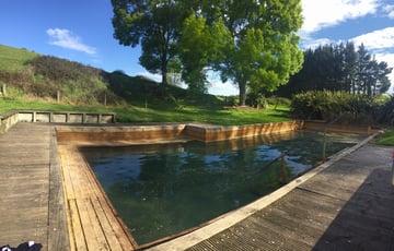Butcher's Pool, Rotorua, Waikato, New Zealand | CamperMate - Australia ...