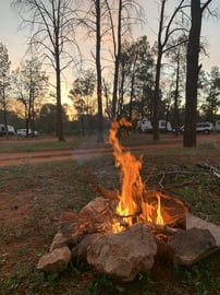 Meadow Glen Rest Area, Outback NSW, New South Wales, Australia ...