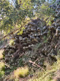 Battery Rock Rest Area, Hunter, New South Wales, Australia | CamperMate ...