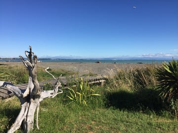 Te Awanga Point Holiday Park, Hawke's Bay, Hawke's Bay, New Zealand ...