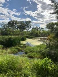 Ban Ban Springs Rest Area, Bundaberg, Queensland, Australia ...