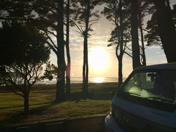 Royal Billy Point Reserve, Coromandel, Waikato, New Zealand ...