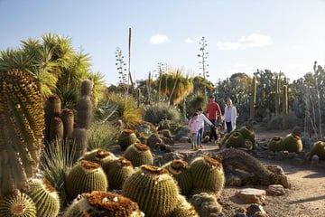 Cactus Country, Central Murray, Victoria, Australia | CamperMate ...