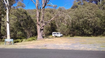 Bradneys Gap Campground, Kosciuszko National Park, Snowy Mountains, New South Wales, Australia ...